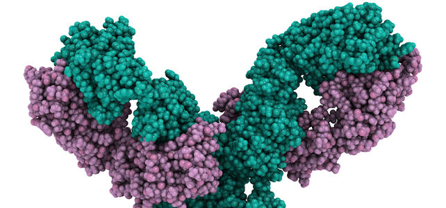 Pembrolizumab superiority shown as first-line in MSI-H mCRC