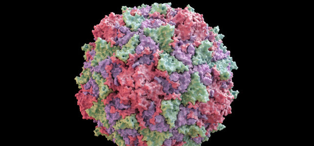 Global Outbreak Update: Circulating vaccine-derived poliovirus type 2 ...